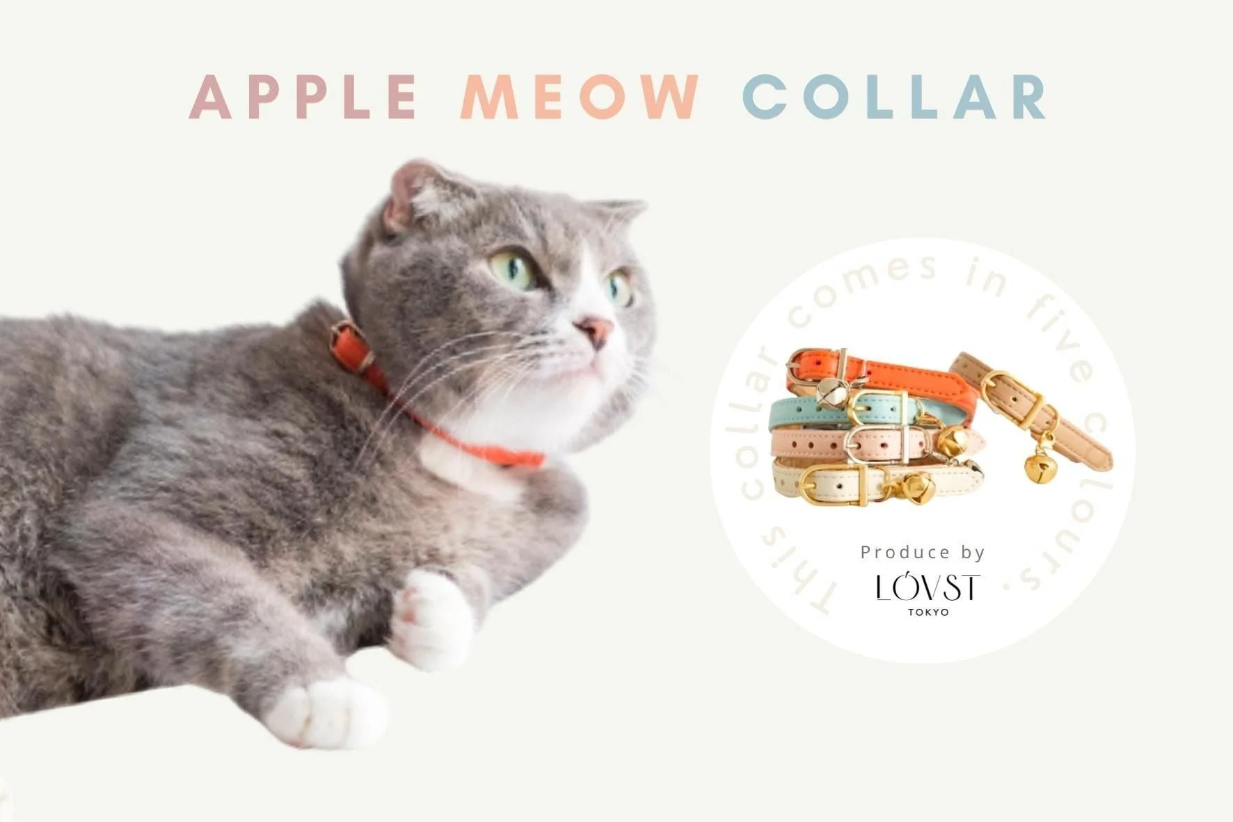 猫の日スタート！ 第三弾クラファン「Apple Meow Collar」スペシャルインタビュー：SPA代表・斎藤鷹一さん - LOVST MEDIA